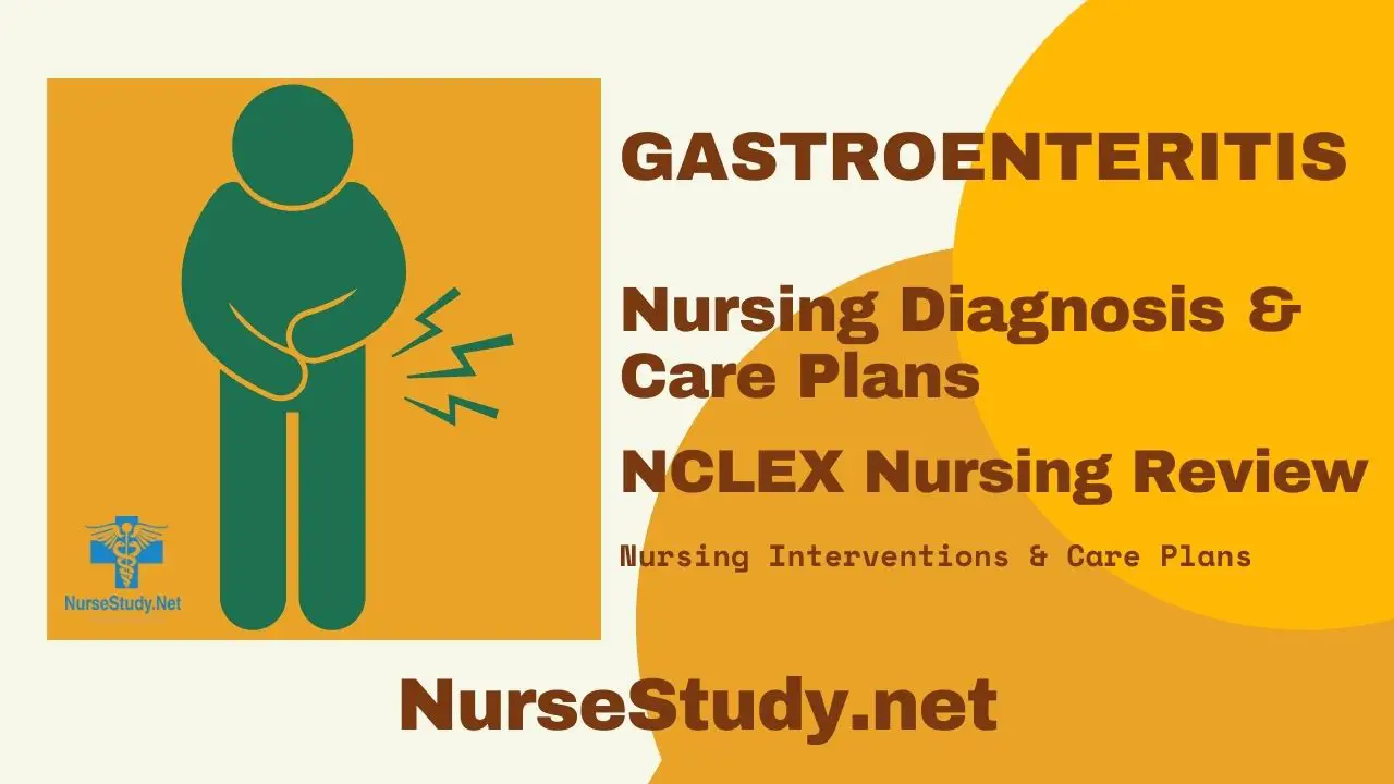 Gastroenteritis Nursing Diagnosis Care Plan NurseStudy Net