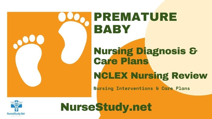 Premature Baby Nursing Diagnosis & Care Plan - NurseStudy.Net
