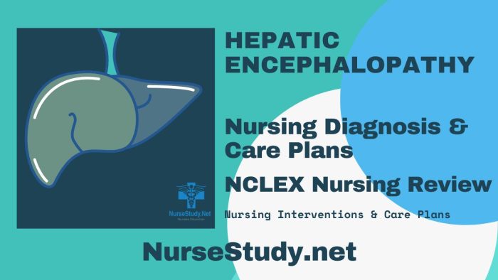 Hepatic Encephalopathy Nursing Diagnosis & Care Plan - NurseStudy.Net