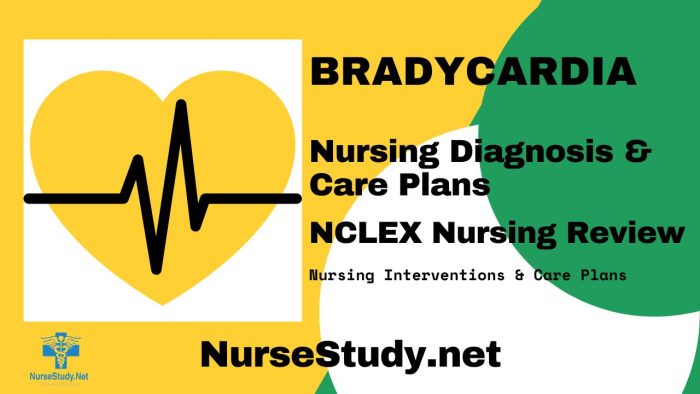 Bradycardia Nursing Diagnosis & Care Plan - NurseStudy.Net