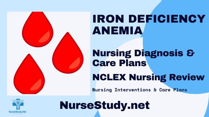 Iron Deficiency Anemia Nursing Diagnosis & Care Plan - NurseStudy.Net