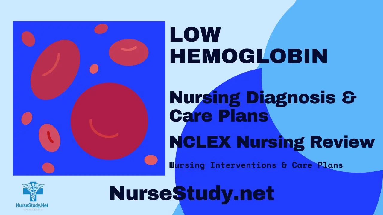 Iron Deficiency Anemia Nursing Diagnosis And Nursing Care 60 OFF