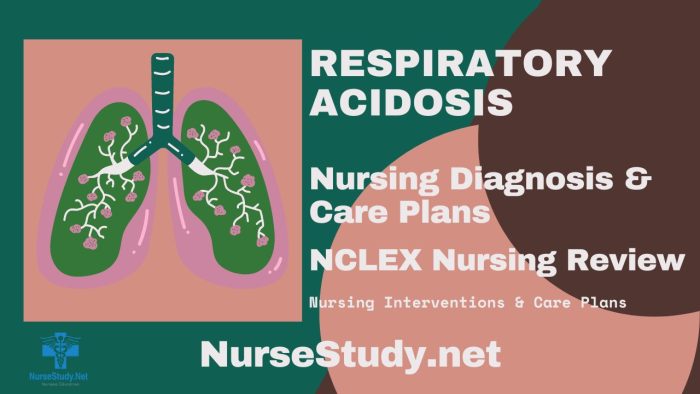 Respiratory Acidosis Nursing Diagnosis and Nursing Care Plan ...
