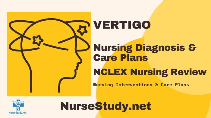 Vertigo Nursing Diagnosis & Care Plan - NurseStudy.Net