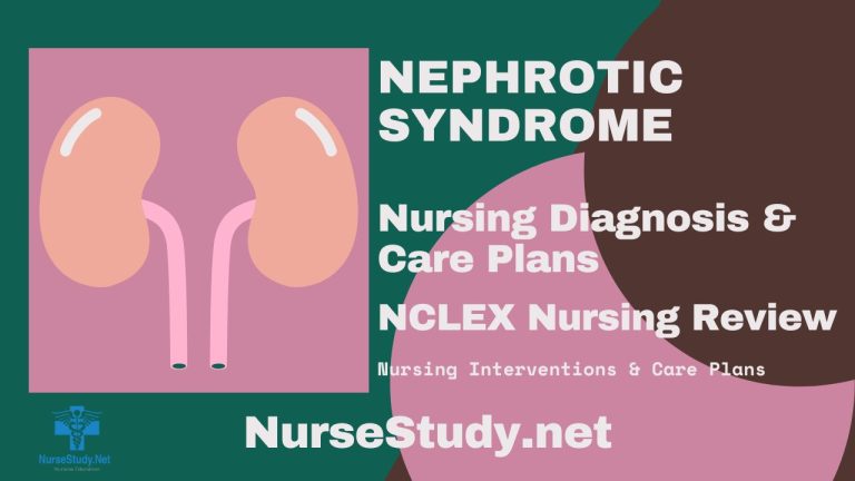 Nephrotic Syndrome Nursing Diagnosis & Care Plan - NurseStudy.Net