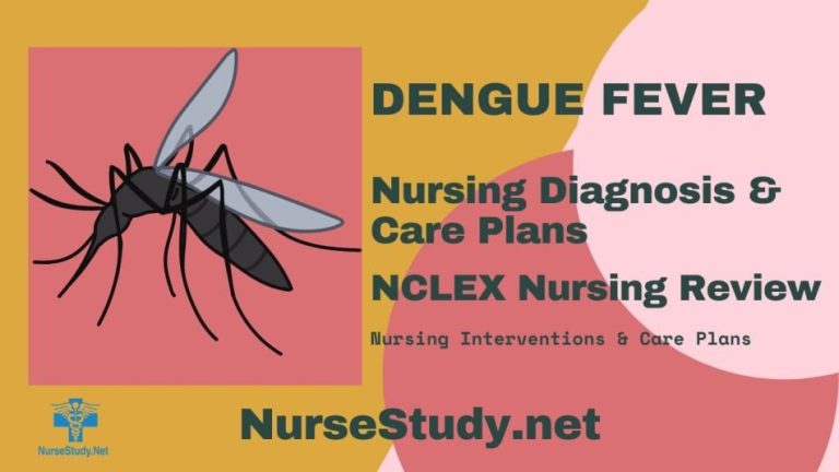 Dengue Fever Nursing Diagnosis & Care Plans - NurseStudy.Net