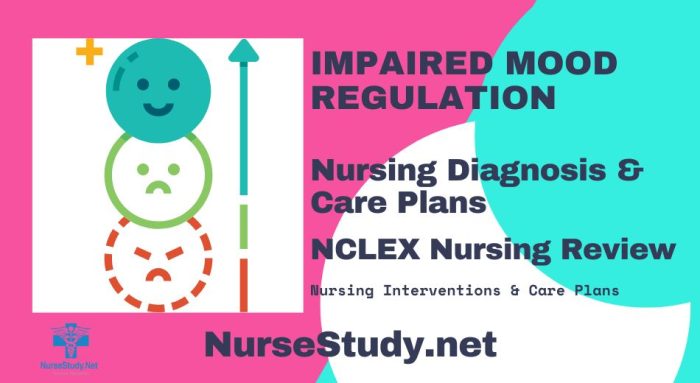 Impaired Mood Regulation Nursing Diagnosis & Care Plan - NurseStudy.Net