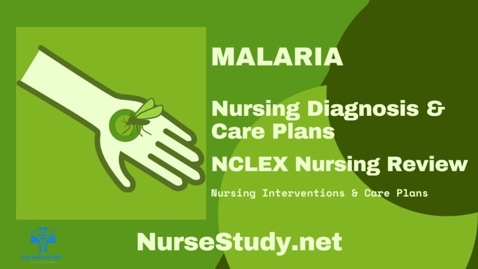 Malaria Nursing Diagnosis And Nursing Care Plan NurseStudy Net
