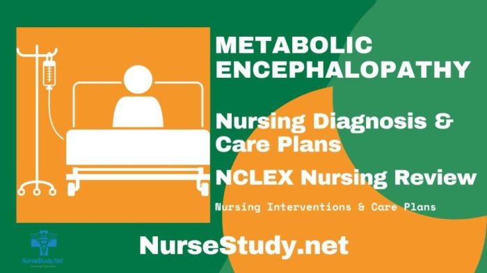 Metabolic Encephalopathy Nursing Diagnosis & Care Plan - NurseStudy.Net