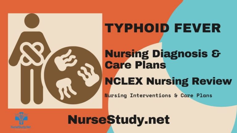 Typhoid Fever Nursing Diagnosis & Care Plan - NurseStudy.Net