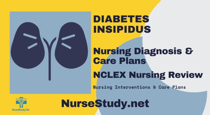 Diabetes Insipidus Nursing Diagnosis and Nursing Care Plan - NurseStudy.Net