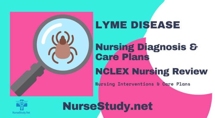 Lyme Disease Nursing Diagnosis & Care Plan - NurseStudy.Net