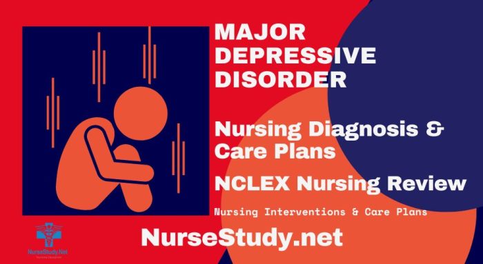 Major Depression Nursing Diagnosis & Care Plan - NurseStudy.Net