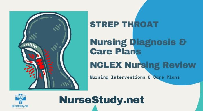 Strep Throat Nursing Diagnosis & Care Plan - NurseStudy.Net