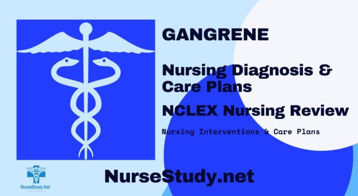 Gangrene Nursing Diagnosis & Care Plan - NurseStudy.Net