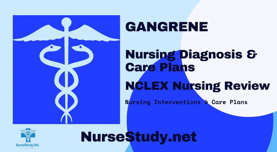 Gangrene Nursing Diagnosis Care Plan NurseStudy Net