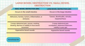 Bowel Obstruction Nursing Diagnosis and Care Plan - NurseStudy.Net
