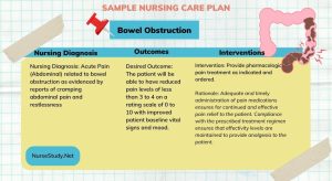 Bowel Obstruction Nursing Diagnosis and Care Plan - NurseStudy.Net