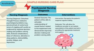 Psychosocial Nursing Diagnosis & Care Plan - NurseStudy.Net