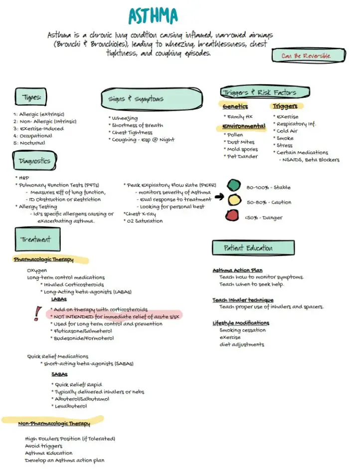 Asthma Nursing Diagnosis & Care Plan - NurseStudy.Net