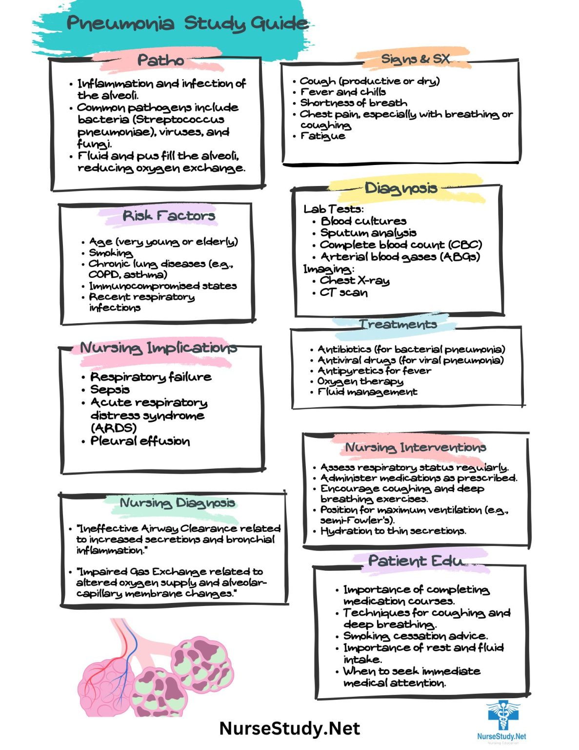 Pneumonia Nursing Diagnosis and Care Plan - NurseStudy.Net