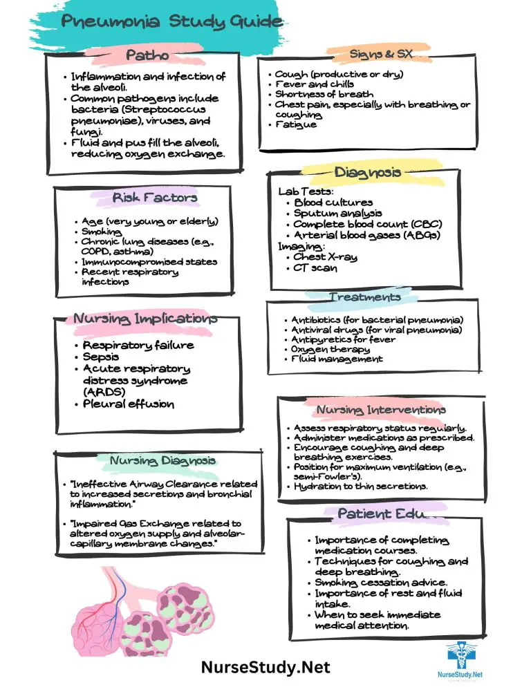 Pneumonia Nursing Diagnosis and Care Plan - NurseStudy.Net